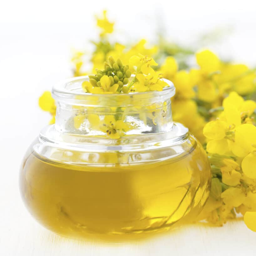 Canola oil - Sinapic Acid - Cosmacon