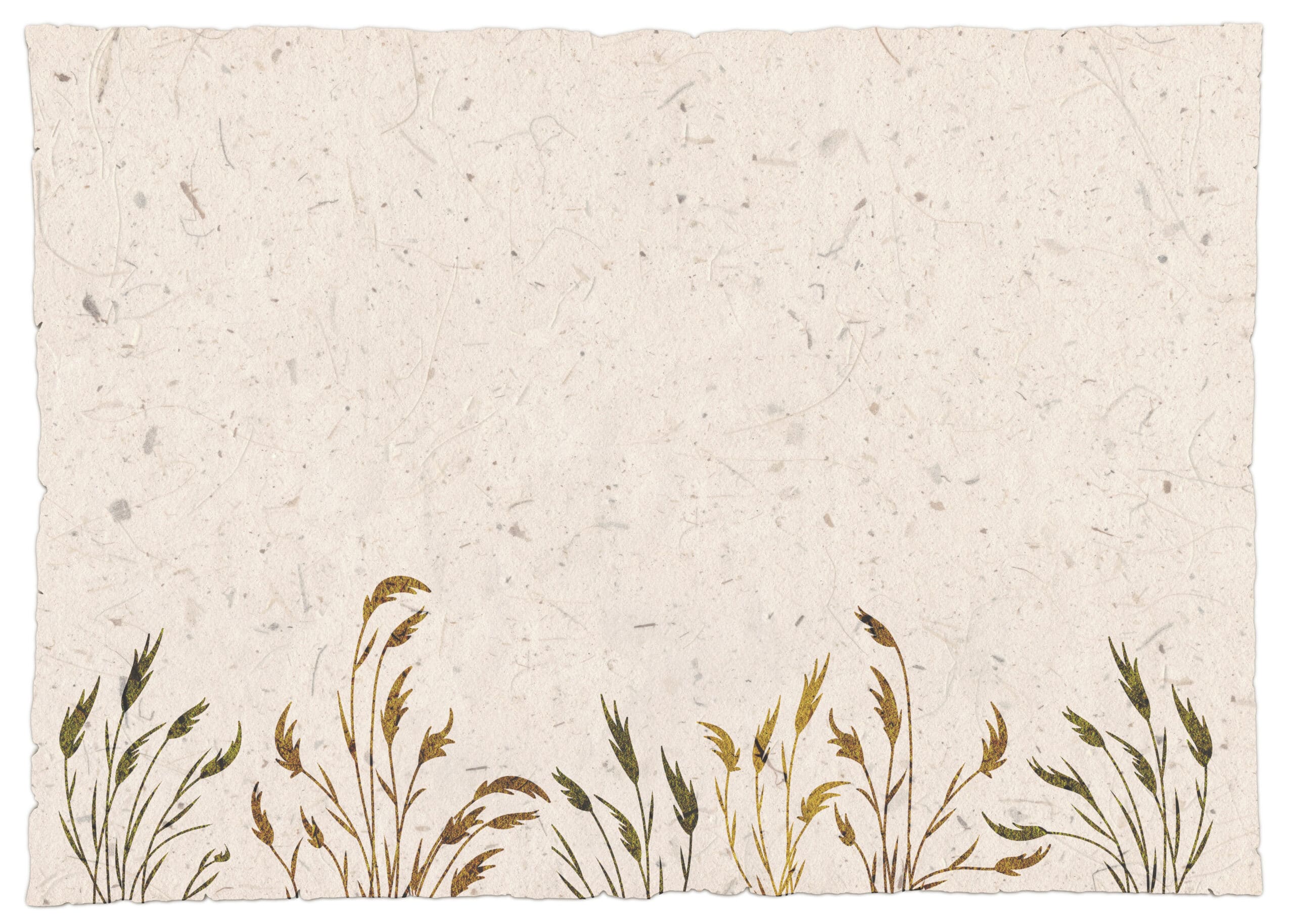 Transport packaging - grass paper - CO2-foodprint - Cosmacon