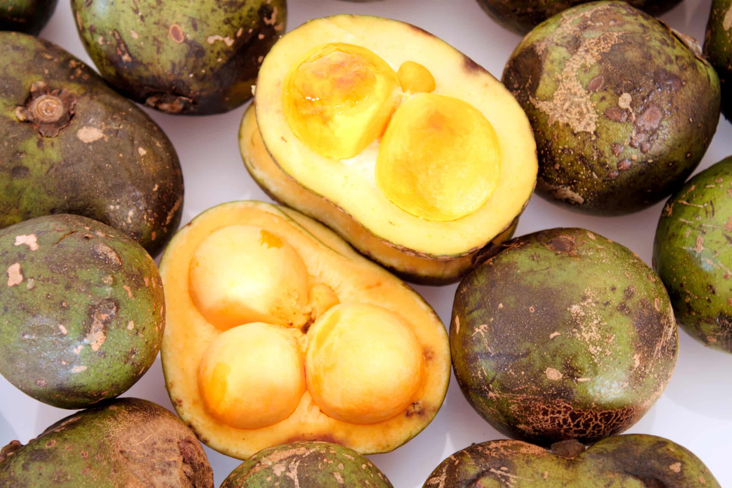 Pequi oil - Caryocar Braziliense Fruit Oil - Cosmacon